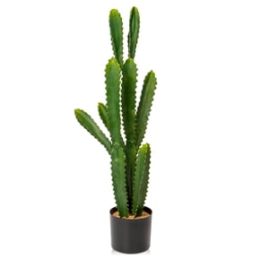 Fake Cactus