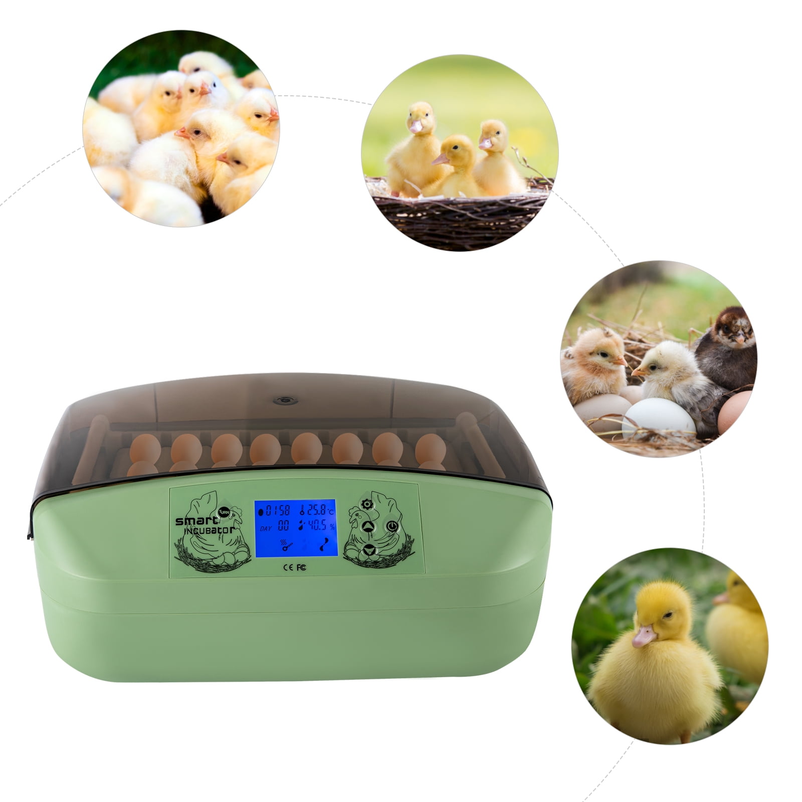 32-Egg Fully Automated Incubator, Adjustable Temperature & Humidity ...