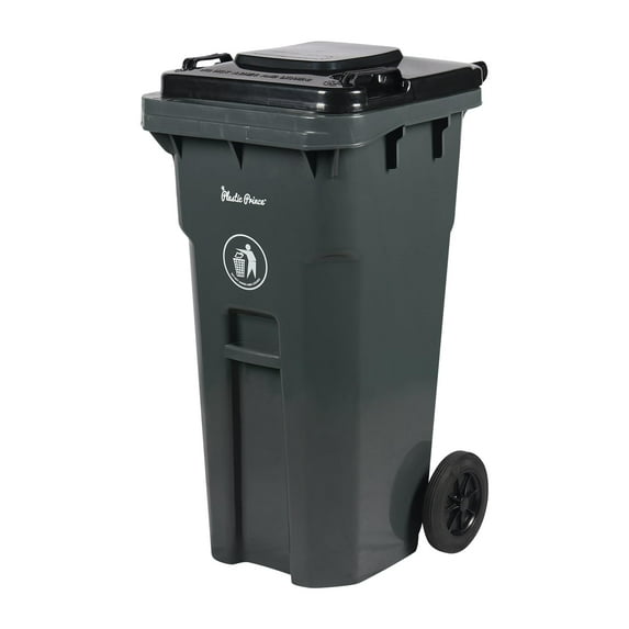 32 Gallon Heavy Duty Outdoor Trash Can with Wheels Rollout, Commercial ...