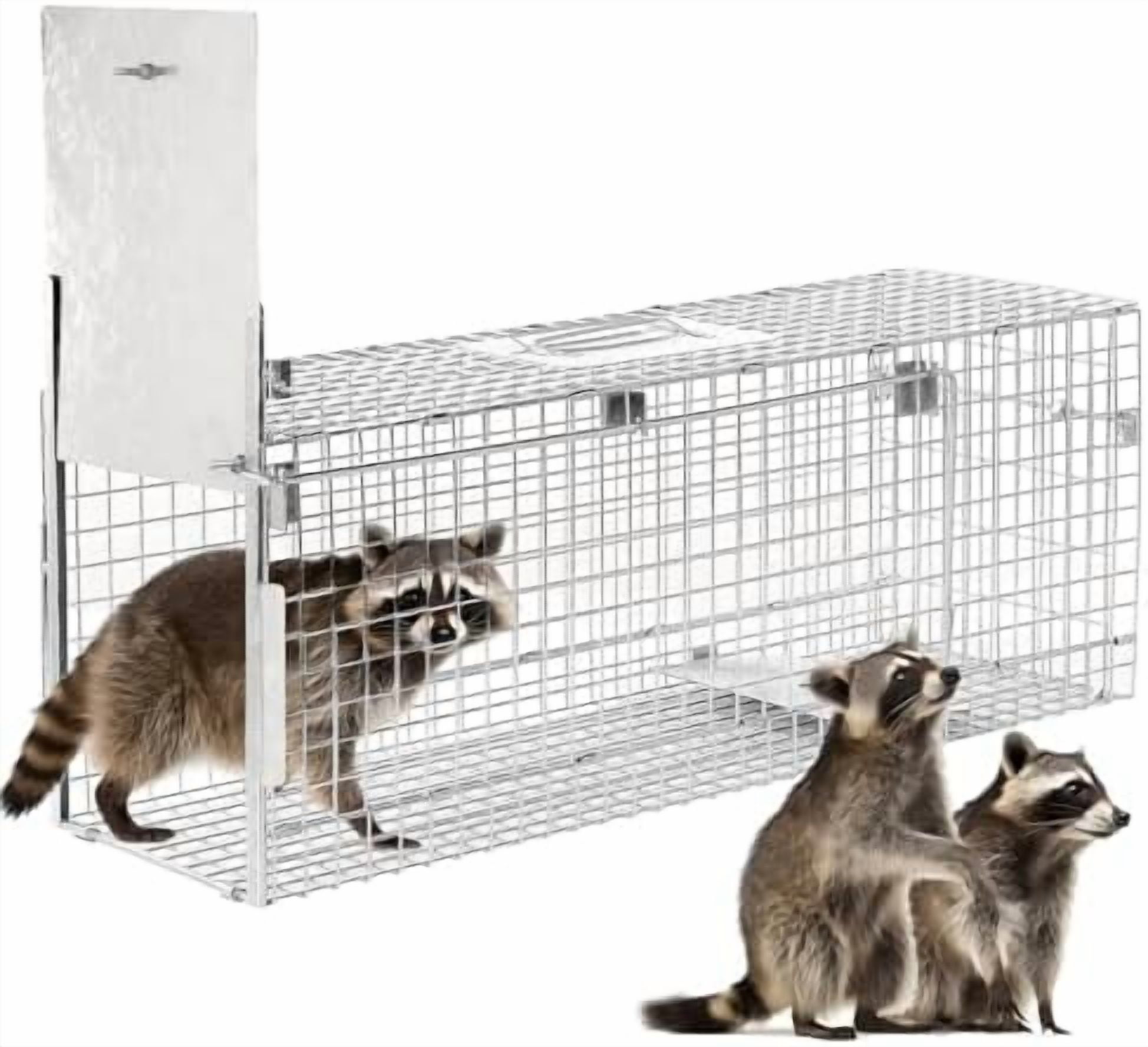 32" Humane Animal Cage Trap, Live Animal Cage Trap, Folding Animal Trap ...