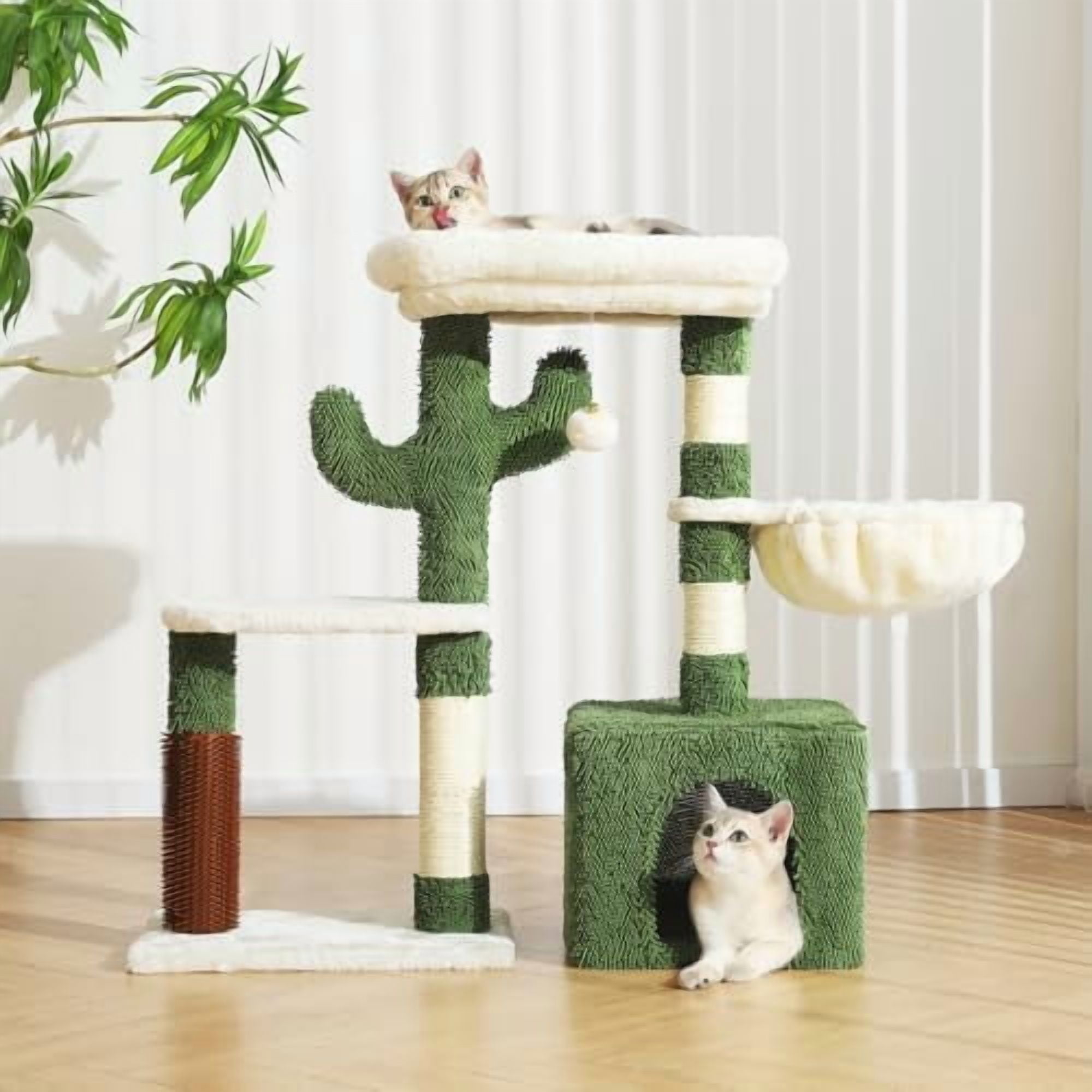 32-Inch Small Cat Tree for Indoor Cats, Cactus Cat Tower with Sisal ...