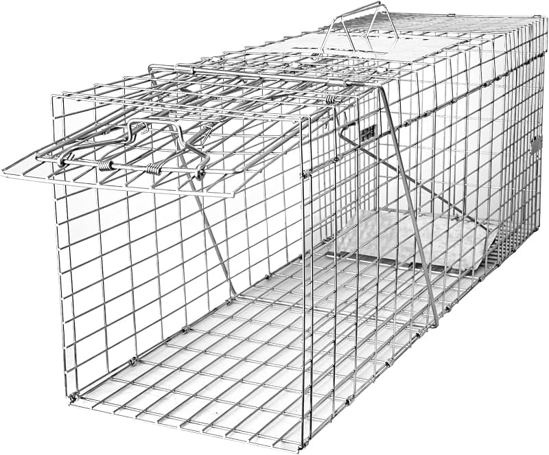 32" Live Animal Cage Trap, Heavy Duty Folding Raccoon Traps, Humane Cat ...