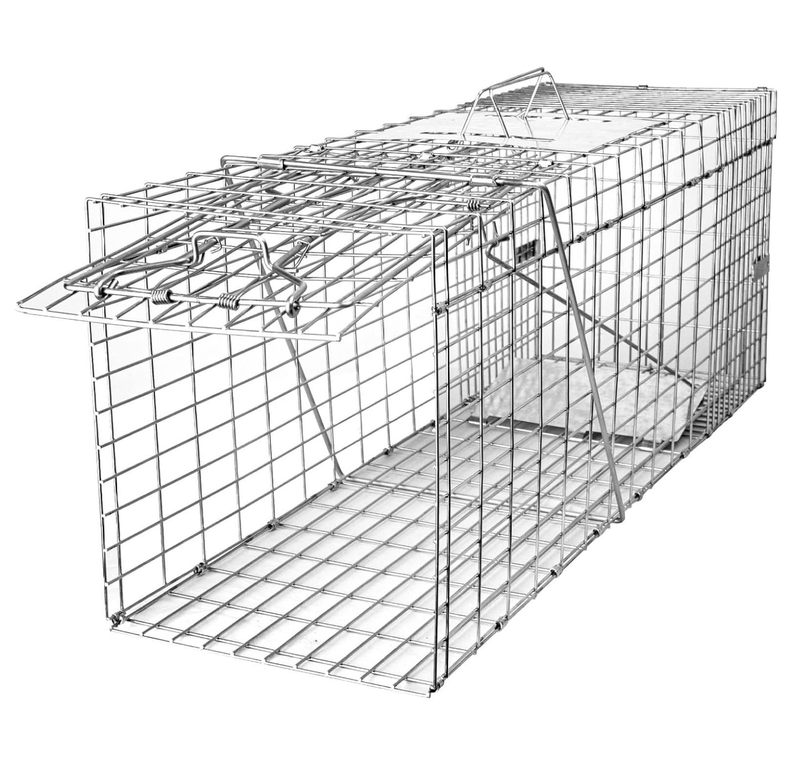 32" Live Animal Cage Trap, Heavy Duty Folding Raccoon Traps, Humane Cat Trap for Stray Cats ...