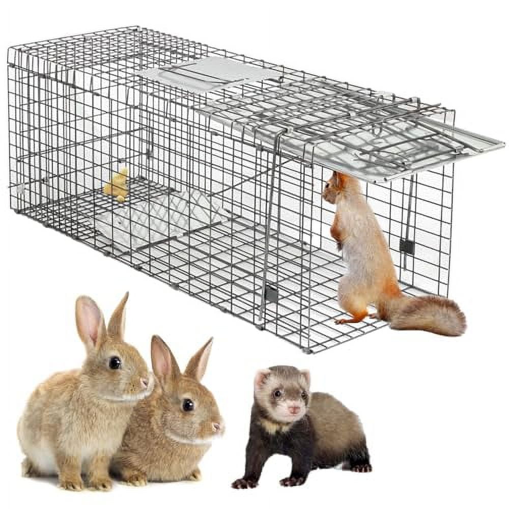 32" Live Animal Cage Trap - Steel Large Folding Humane Cat Trap Raccoon ...