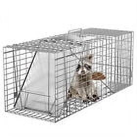 32" Live Large Animal Trap Humane Raccoon Cage Spring Loaded Folding w ...