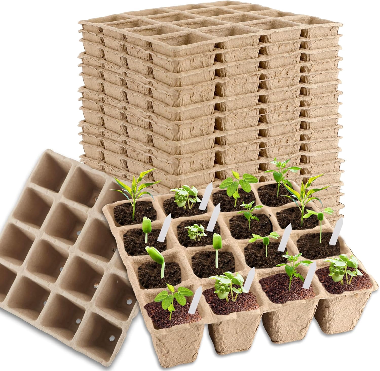32 Packs of 16 Compartment Seedling Trays with Holes Biodegradable ...