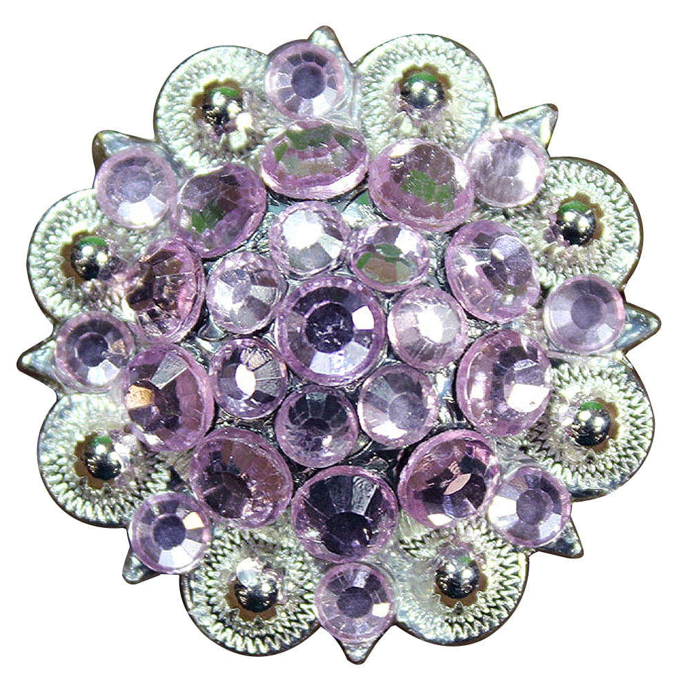 32 Rose Crystals Berry Concho Rhinestone Headstall Saddle Tack Cowgirl ...