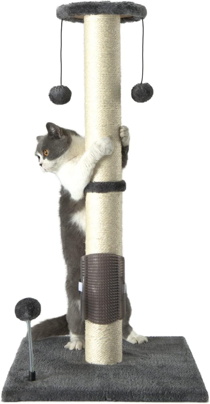 32" Tall Cat Scratching Post Sisal Scratch Posts,with Hanging Ball and ...