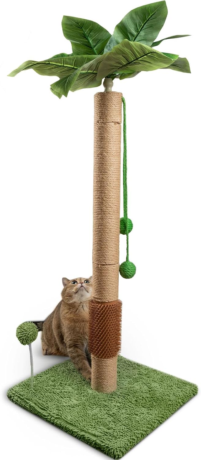 32" Tall Cat Scratching Posts for Indoor Cats, 3-in-1 Cat Scratching ...