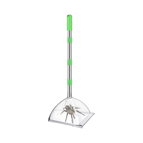 32-inch Adjustable Long-Handled Humane insect Catcher, Safe Spider ...