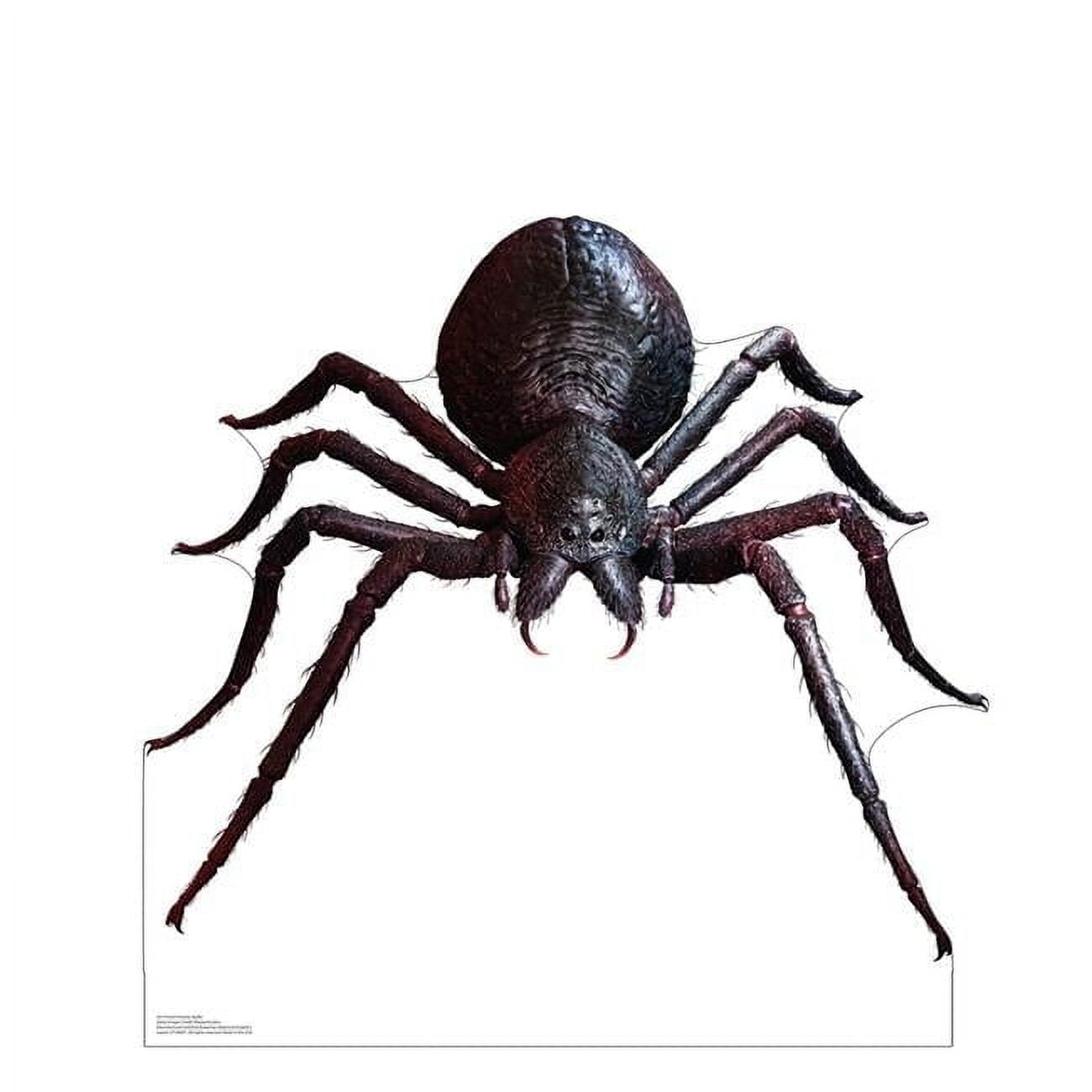 32 x 32 in. Giant Fantasy Spider Life-Size Cardboard Cutout - Walmart.com