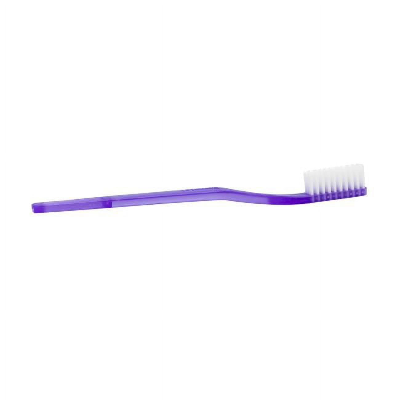 327508-CS DawnMist Soft Bristle Toothbrush - 40 Tuft - Purple - 144 per ...