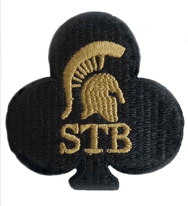 327th Infantry 1st STB 101st Airborne HCI Army Unit Flash Patch ...