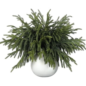 ENVEN 2ft Pre-Lit Norfolk Pine Artificial Green Christmas Tree 24" Real ...
