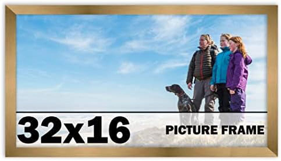 32X16 Frame Bronze Picture Frame - Modern Photo Frame Includes UV Guard ...
