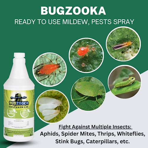 32oz Spider Mite Killer Concentrate, Safe use for Indoor/Outdoor Plants ...