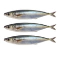 33.50g 15cm Silicone Floating Lures Sea Fishing Baits Crankbait ...