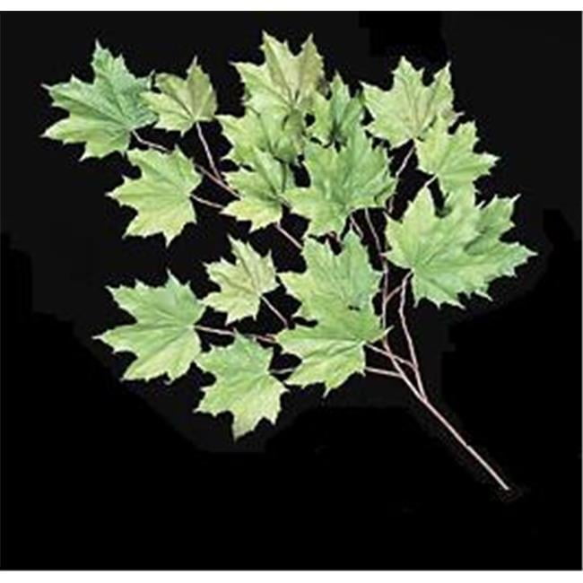 33 Inch Sugar Maple Branch - Light Green - Dozen - Walmart.com