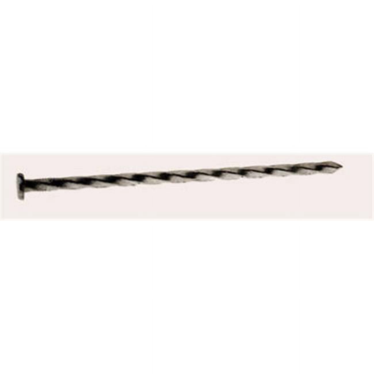 33245 6 in. x 7 Gauge Hot Galvanized Ring Shank Landscape Spike Nail ...