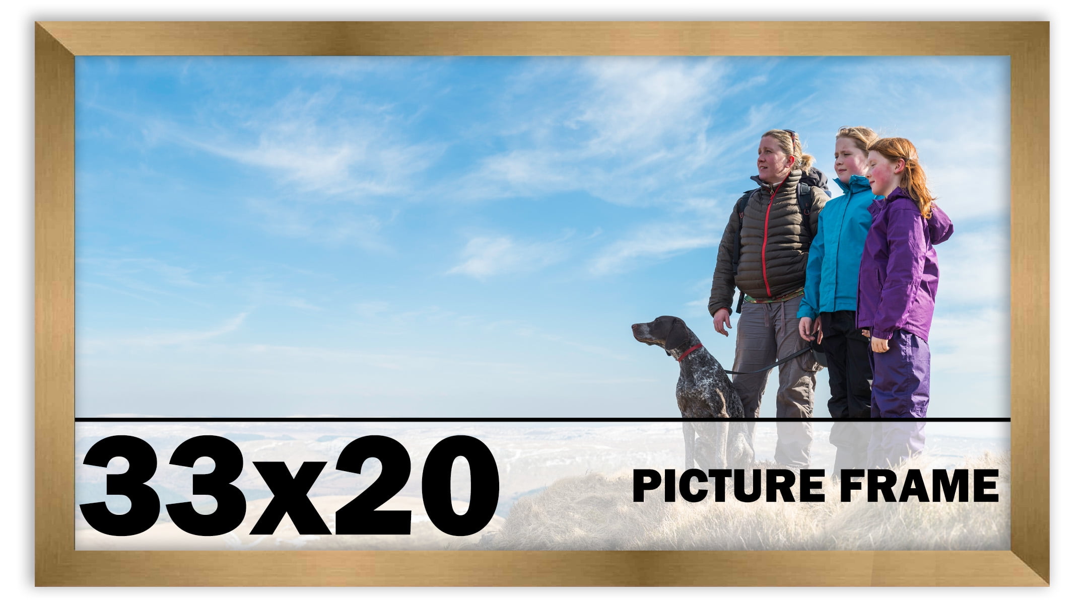 33x20 Frame Gold Bronze Modern Solid Wood Picture Frame | 0.75 Inch ...