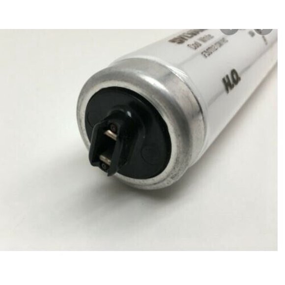 43 Watt Bulbs
