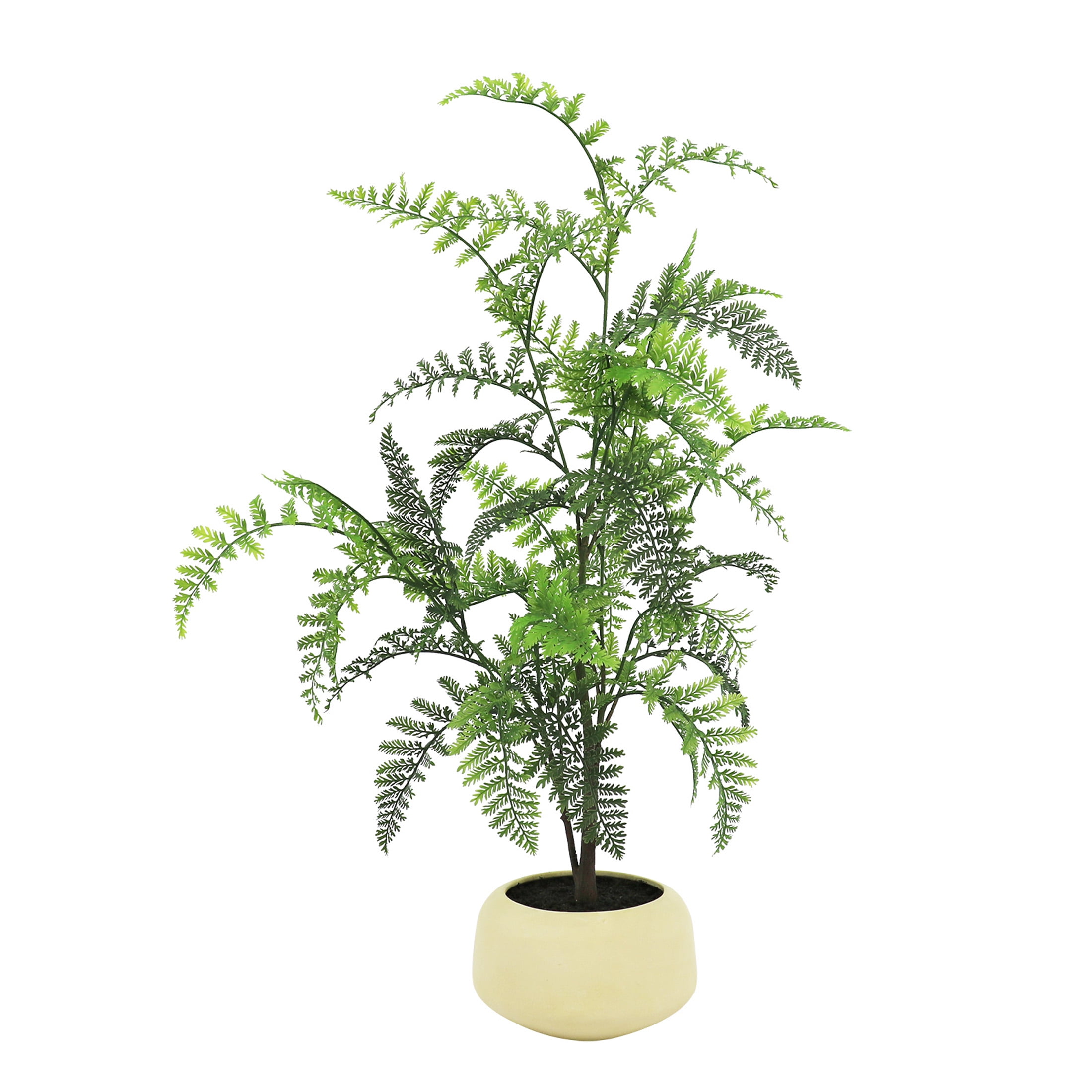 34" Fern in White Planter by Ashland® - Spring Craft Kits - Walmart.com