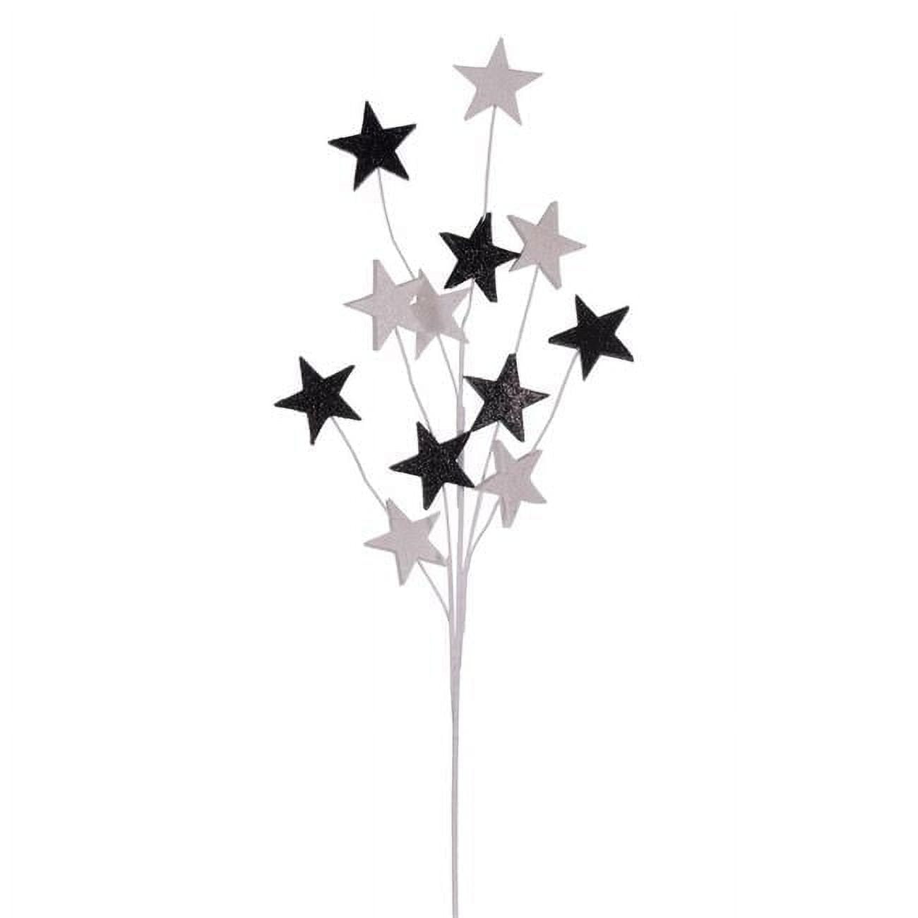 34 in. Black & White Star Glitter Spray, 6 Piece - Pack of 30 - Walmart.com