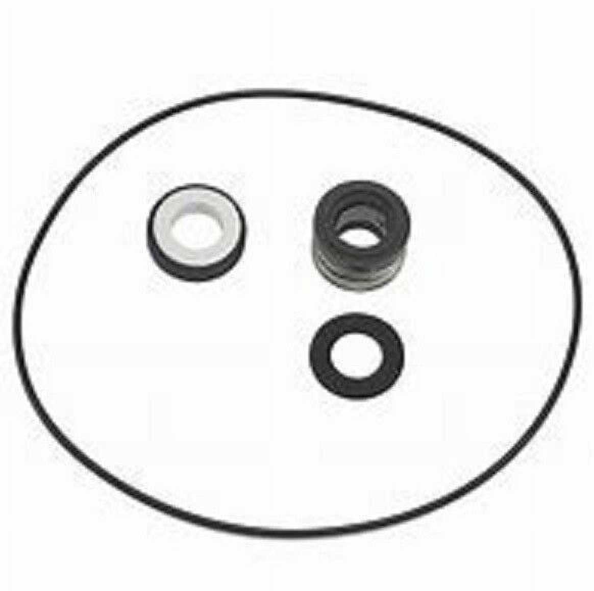 3430-0332 Hypro Repair Kit (Seal and O-ring) - Walmart.com
