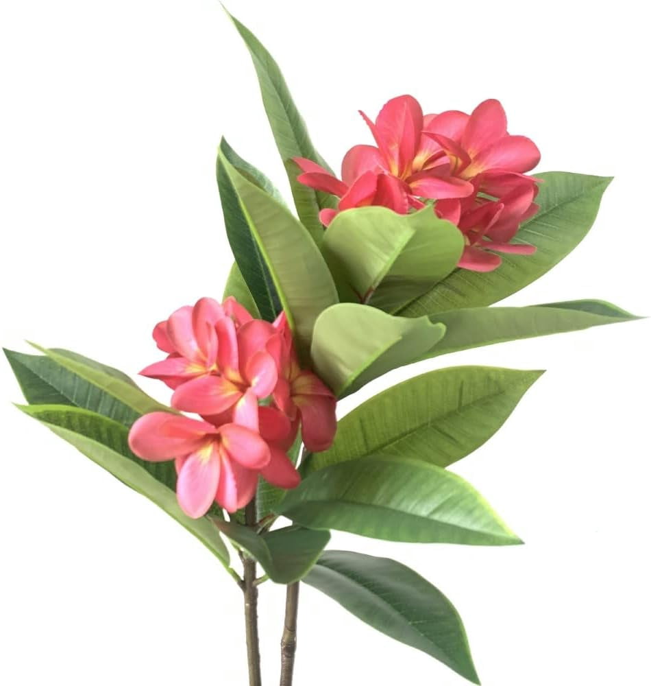 35.5 Inch Artificial Flowers Artificial Frangipani Flower Stems ...