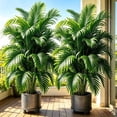 Artificial Areca Palm 2 Pack - 35.5 inch Faux Tropical Palm Tree ...