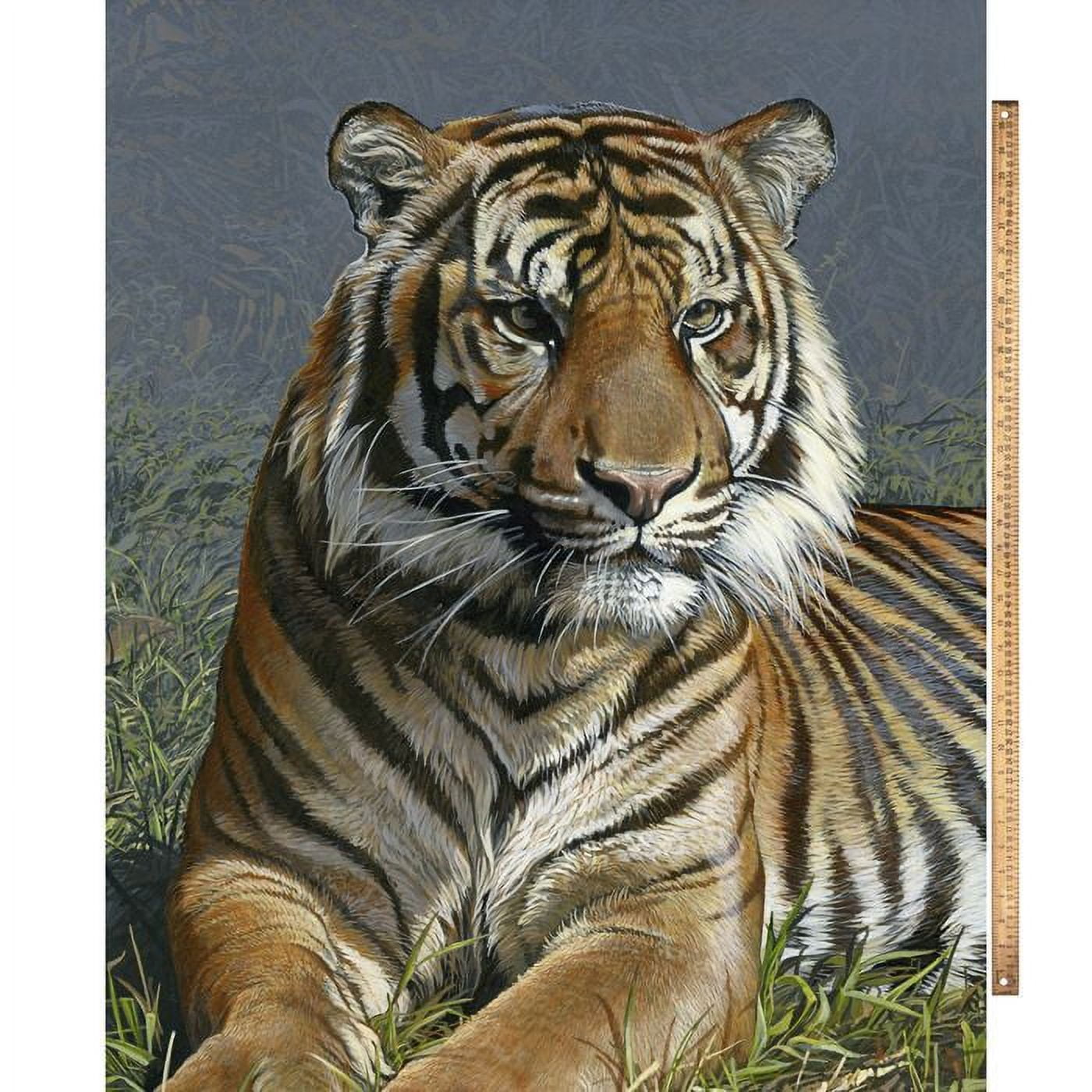 35.5" X 44" Panel Tiger Panel Wildcat Wildlife Jungle Animals ...