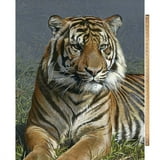 35.5" X 44" Panel Tiger Panel Wildcat Wildlife Jungle Animals ...