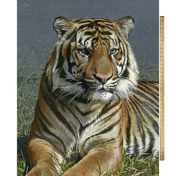 35.5" X 44" Panel Tiger Panel Wildcat Wildlife Jungle Animals ...