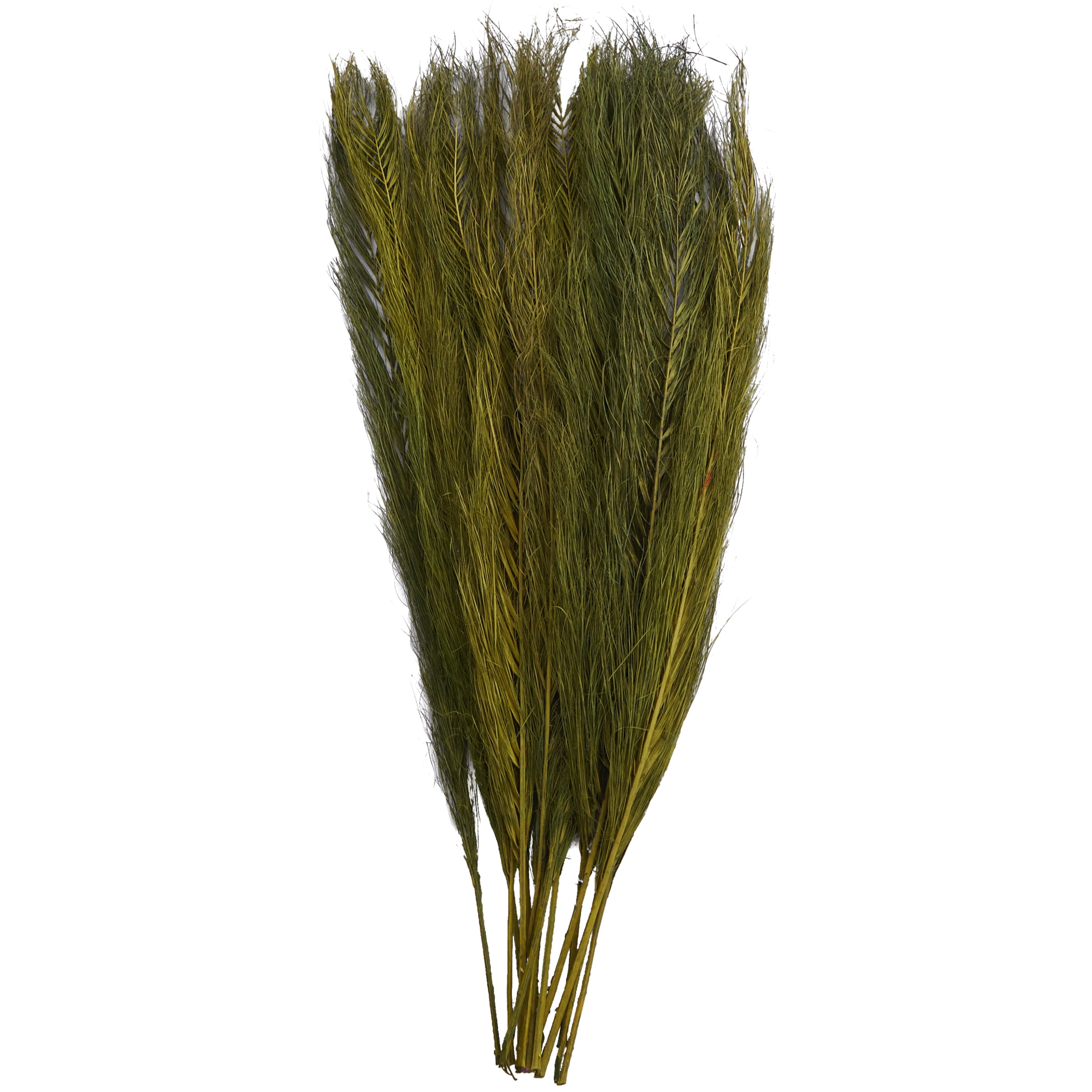 35" Dried Plant Natural Foliage Leaves Bouquet with Feather Inspired ...