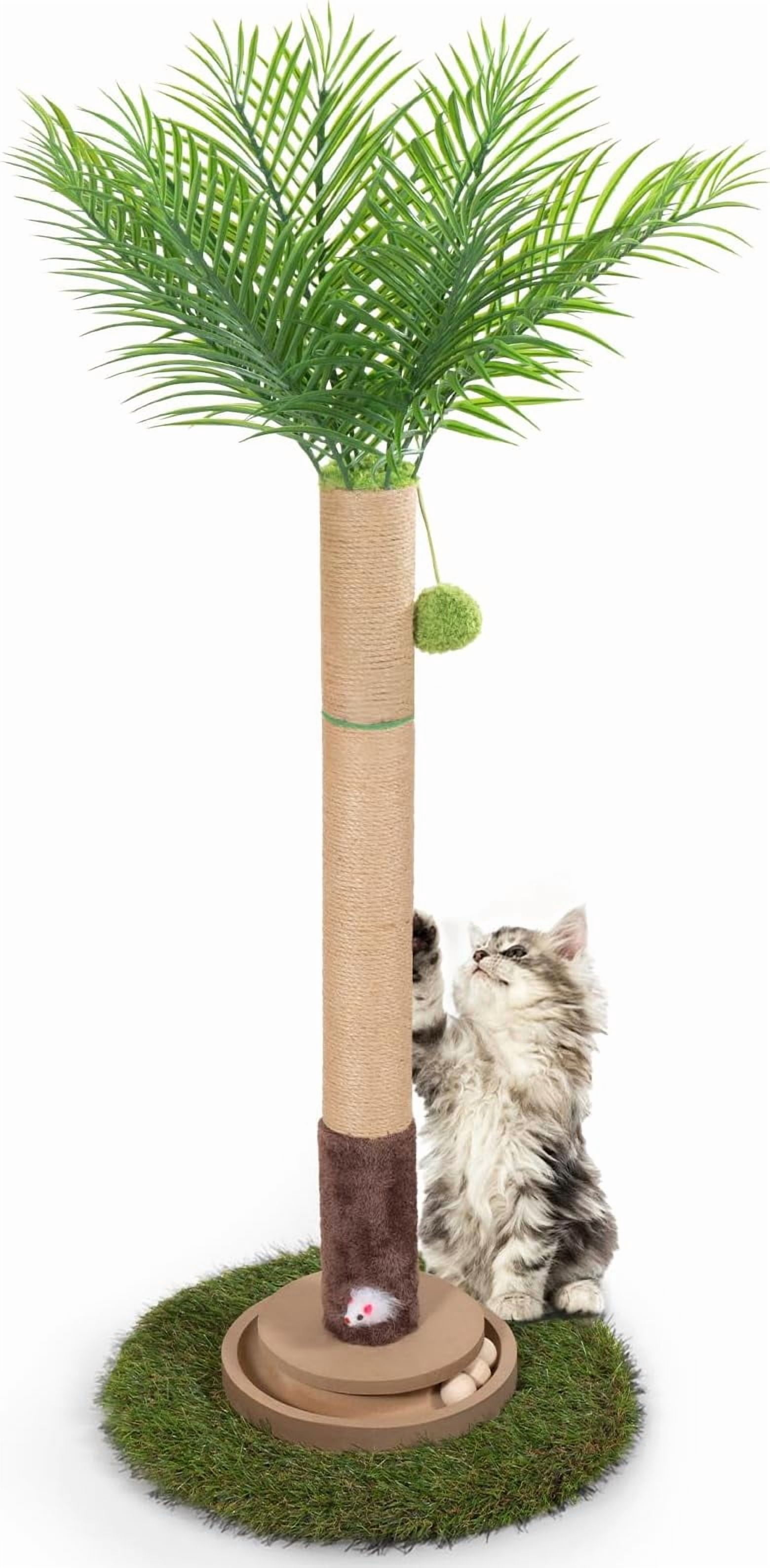 , 35 Inch Tall Scratcher Tree Tower with Ball for Indoor Cats Adults ...