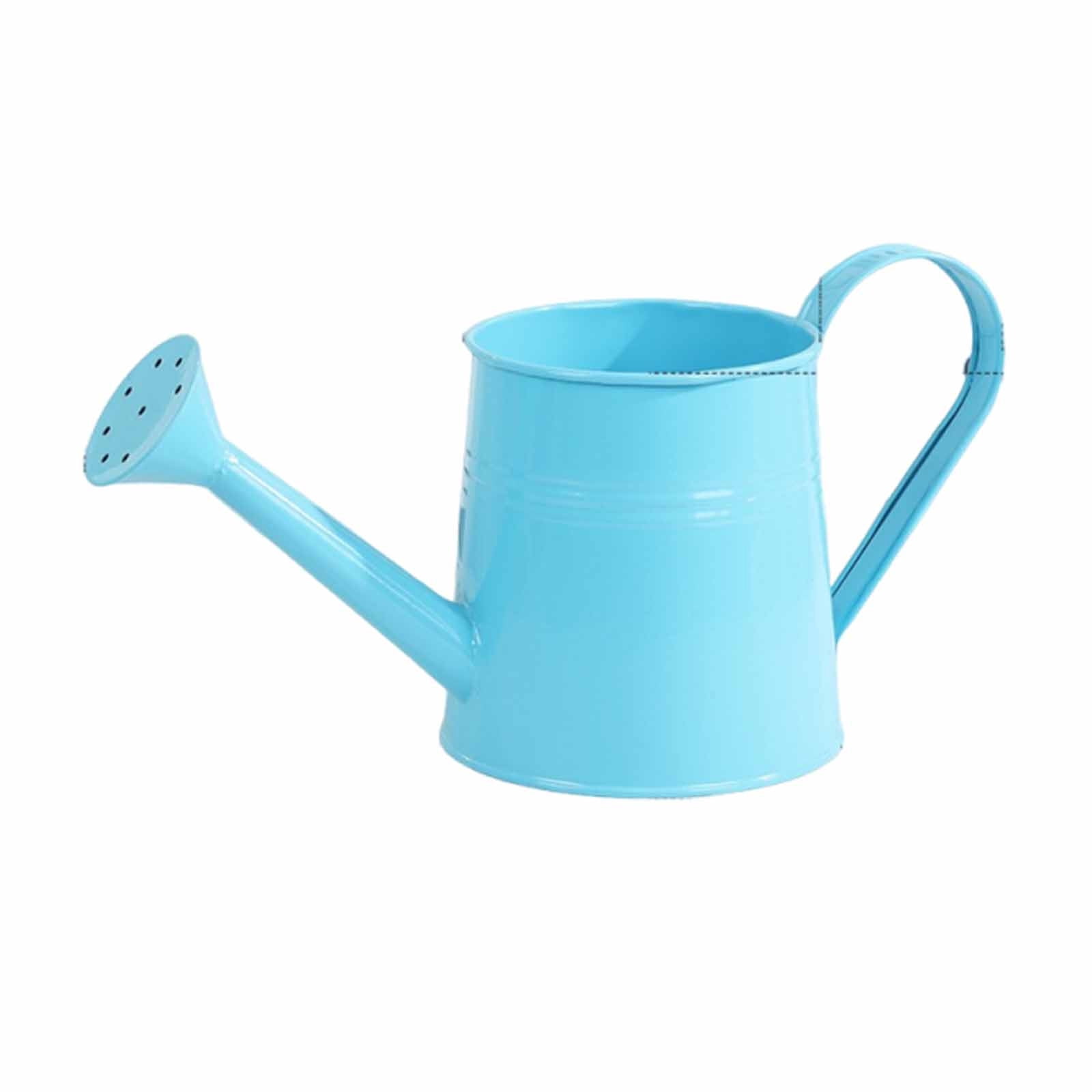 35 OZ/1000 ML Small Mteal Watering Can, Spring Gardening Tool ...