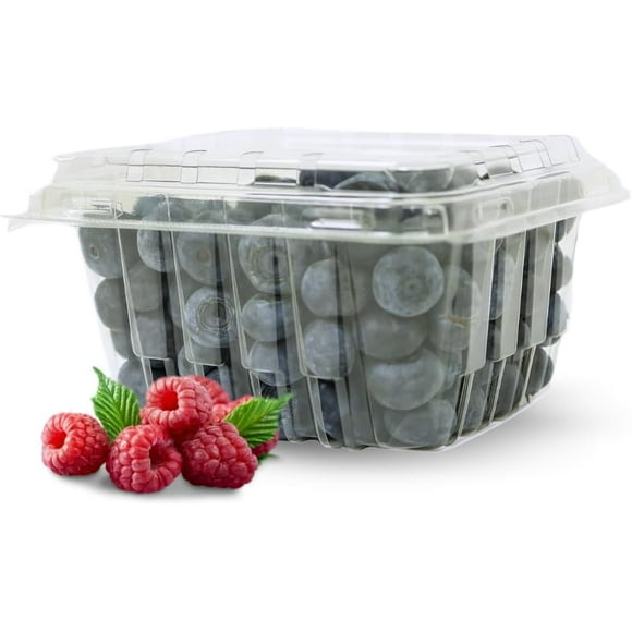 Pint Plastic Container