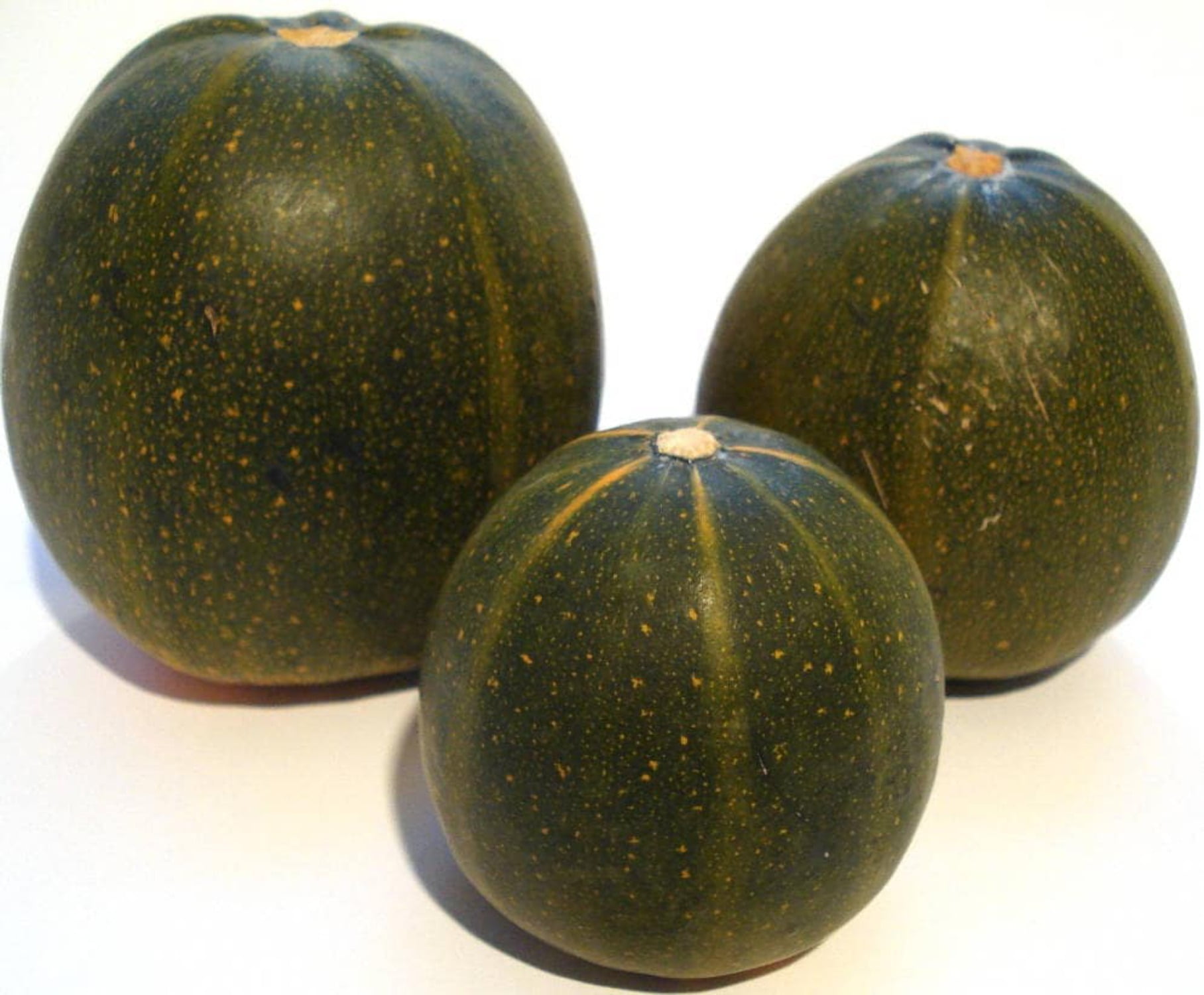 35 Seeds Sweet TATUME SQUASH Cucurbita Pepo Calabash Calabacita Mexican ...