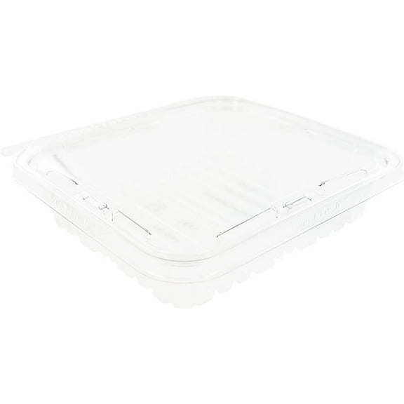 Shallow Container