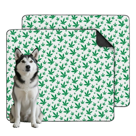 35"x41" Pet Training Pads Washable Reusable - Absorbent Pee Pads for ...