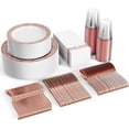 350 Ct Rose Dinnerware Set for 50 Guests, Rose Lace Plastic Plates ...
