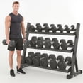 350 lbs Rubber Hex Dumbbell Set with Rack (5-50 lbs) - Home Gym Fitness ...