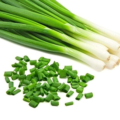 3500+ Long Green Scallion Seeds for Planting, Bunching Long Green Onion ...