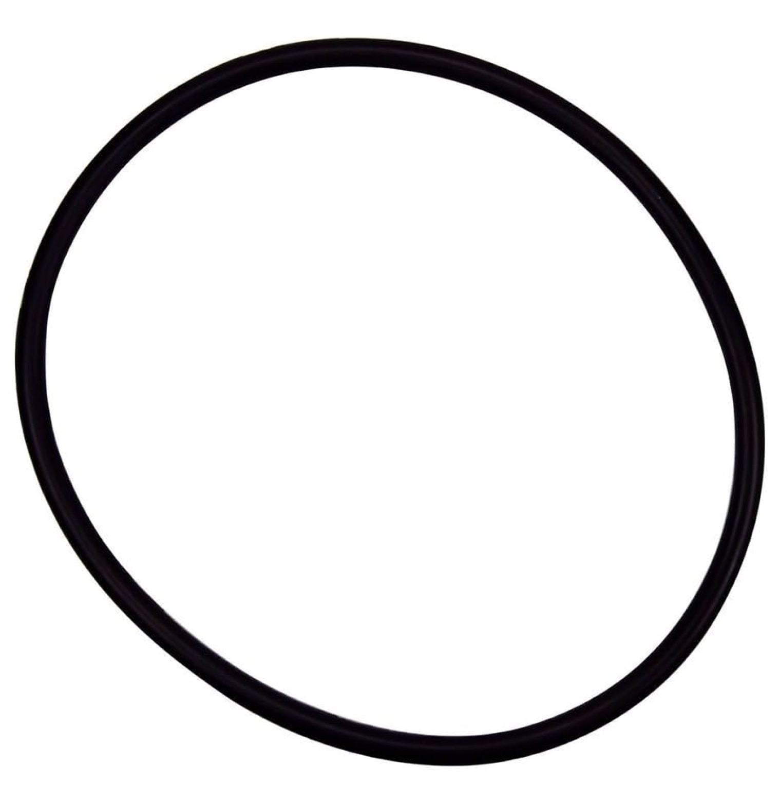 350037 Diffuser O-Ring Replacement EQ-Series Pool and Spa Pump - Walmart.com