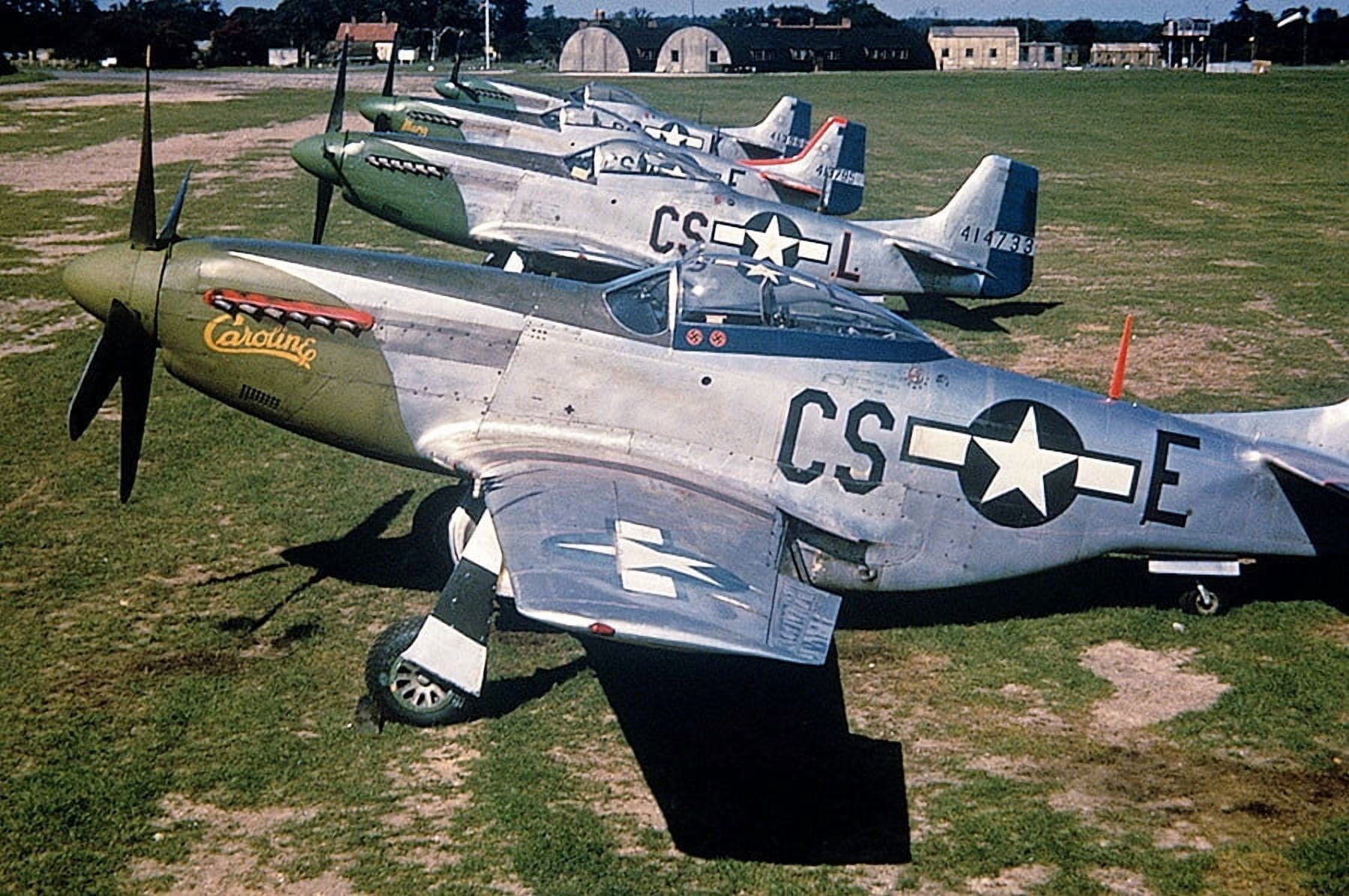 359th Fighter Group P-51D Mustangs WWII - 24x36 Inch Glossy Laminated ...