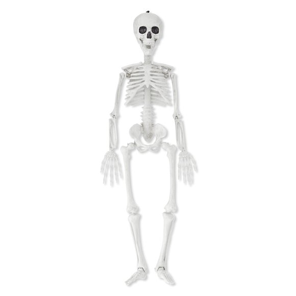 Giant Skeleton