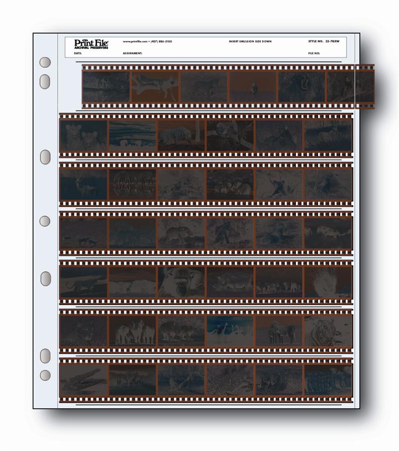 Print File 35mm Size Negative Pages Holds Seven Strips of Six Frames ...