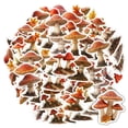 35pcs Natural Mushroom Stickers Nature Teacher Reward Autumn Graffiti ...
