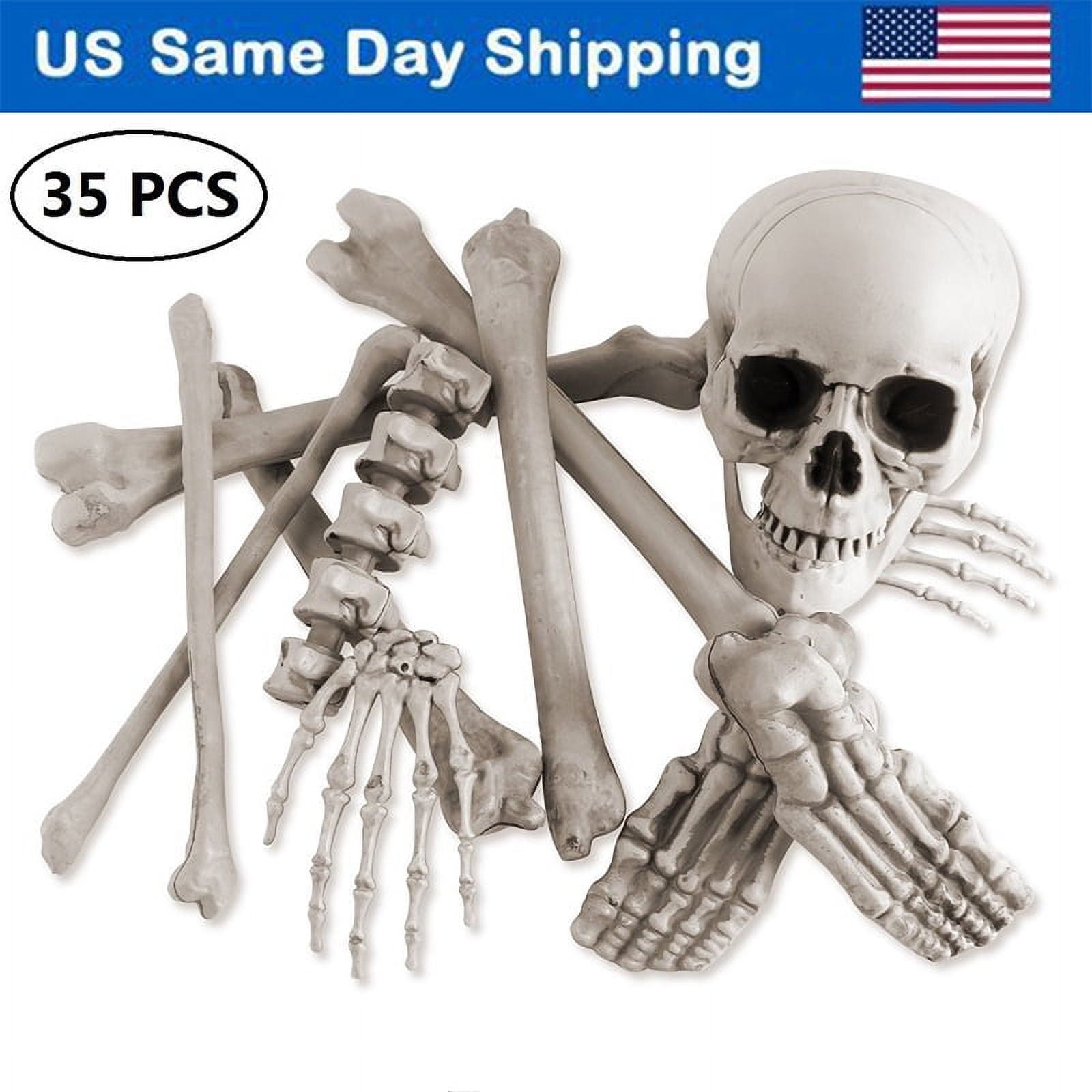 35pcs Skeleton Bones with Skull, Life Size Skeleton Stake for Yard Lawn ...