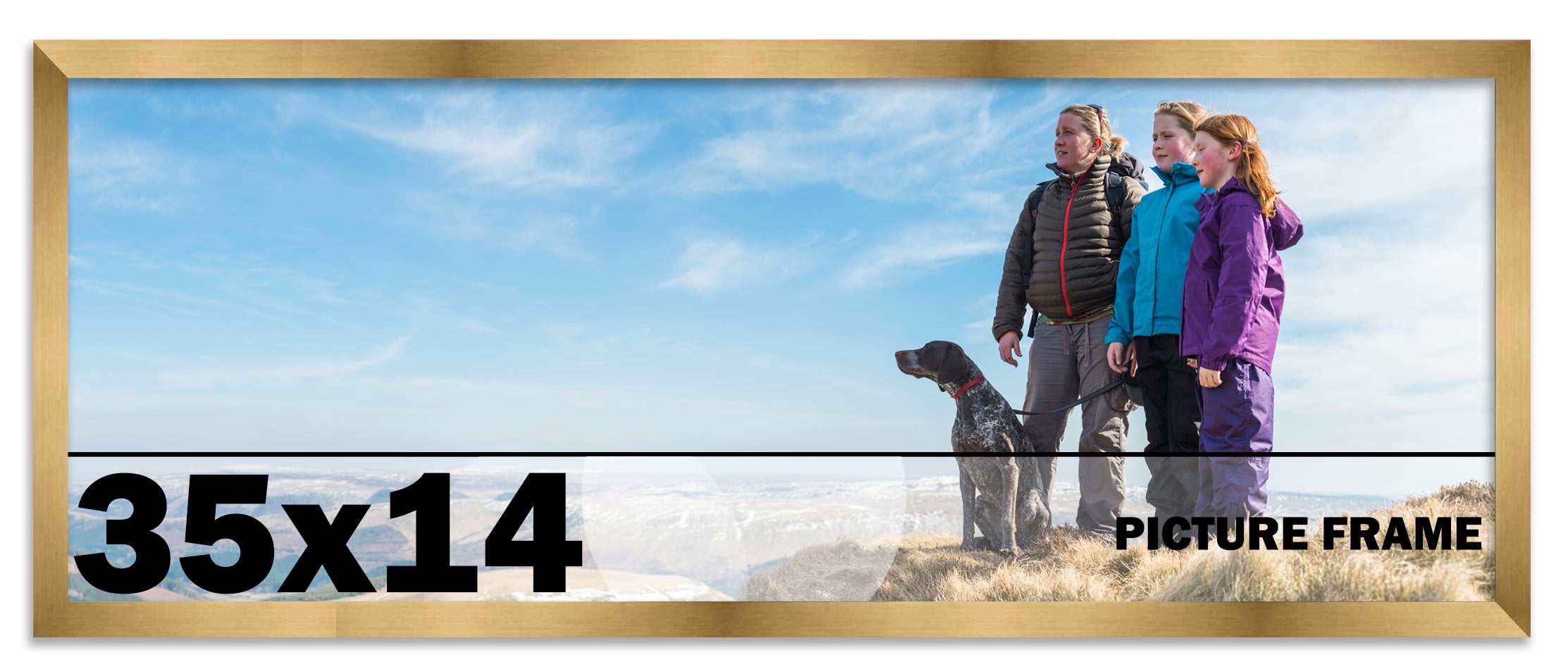 35x14 Frame Gold Bronze Modern Solid Wood Picture Frame | 0.75 Inch ...